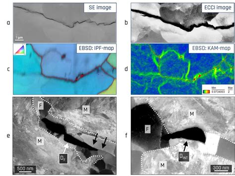 Corresponding A Se B Ecci Image C Ebsd Ipf And D Ebsd Kam