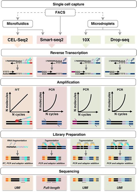 Single Cell Gene Expression