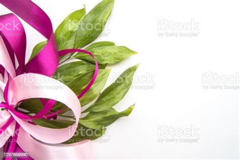 녹색 잎 분홍색 리본 공간의 사본 흰색 고립 된 배경에 평평한 누워 봄 구성 및 레이아웃 발렌타인 데이 또는 결혼식 컨셉과