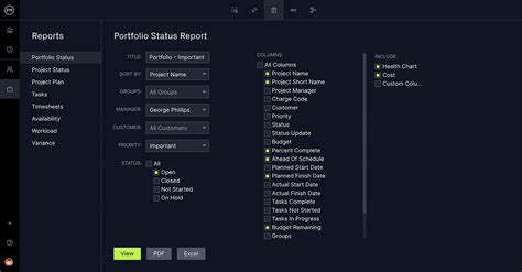 It Project Plan Template Projectmanager