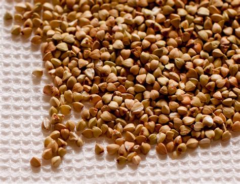 Елда (гречка) – непознати, но полезни продукти и тяхното място в ...