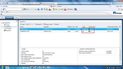 Remote Infrastructure Management Netapp Snapmirror Tutorial