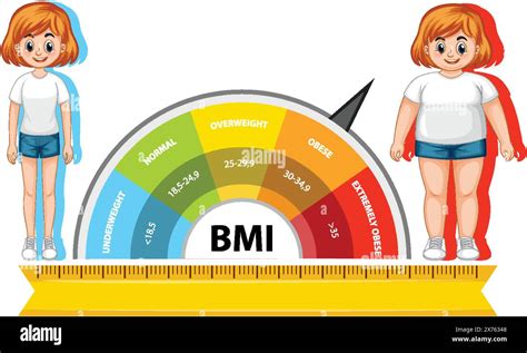 Illustration Of Bmi Scale With Two Characters Stock Vector Image And Art