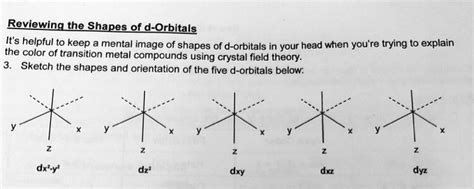 Solved Reviewing The Shapes Of D Orbitals Its Helpful To Keep A
