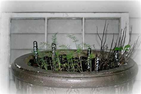 Vintage Windows DIY Project Inspiration DIY Show Off DIY Decorating And Home Improvement