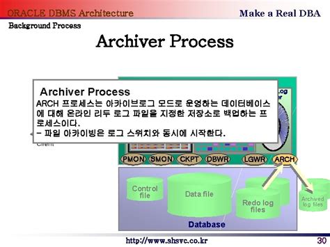 Make A Real Dba Oracle Dbms Architecture Dbms