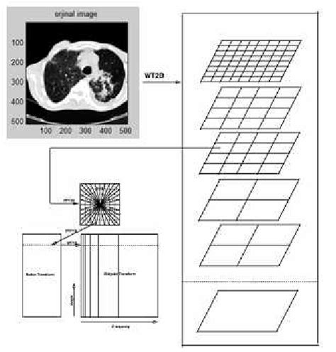 Scheme Of Curvelet Transform Download Scientific Diagram