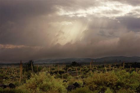 Flow Language Photograph By Stephanie Leavens Fine Art America