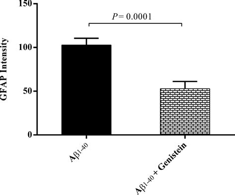Protocol For Three Dimensional Confocal Morphometric Analysis Of Astrocytes