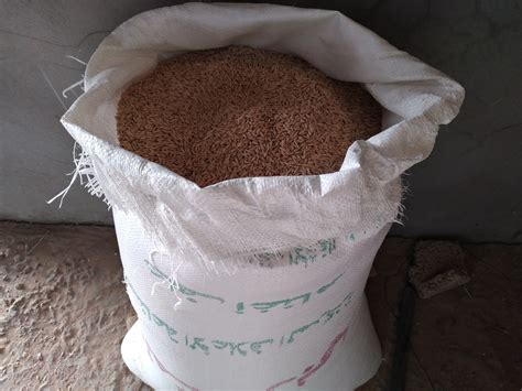 محلات سليمان لبيع اعلاف الاغنام والمواشي Aflou