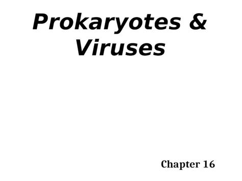 Ppt Prokaryotes And Viruses Chapter 16 Early Earth Earth Is About 4 6