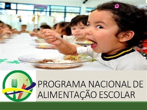 Programa Nacional De Alimentao Escolar Usurios Do Pnae