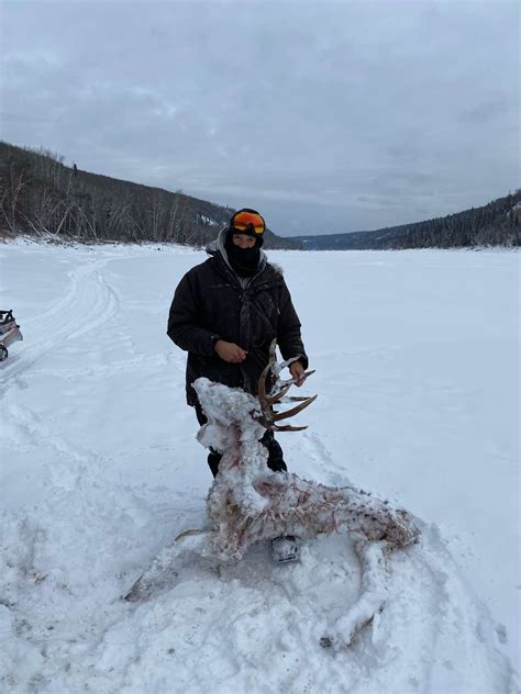 Interlake Safaris Alberta Wolf Hunts