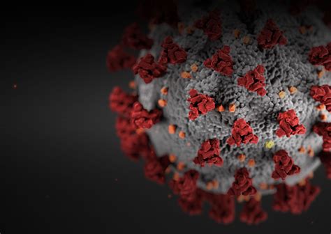 Dhhr Wv Path Surveys Hyatt