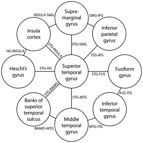 Atlas Of The Insula Temporoparietal Junction Download Scientific Diagram