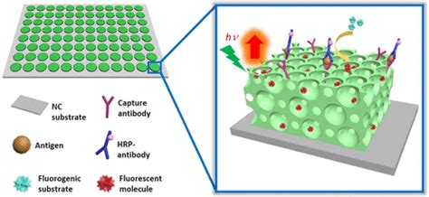 Patterned Photonic Nitrocellulose For Pseudopaper Elisa Analytical