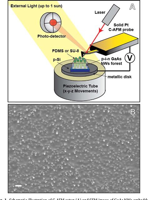 Figure 1 From Conductive Probe Atomic Force Microscopy As A Characterization Tool For Nanowire