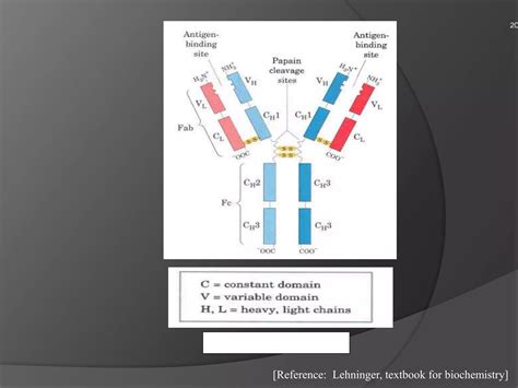 Protein Ligand Interaction Ppt
