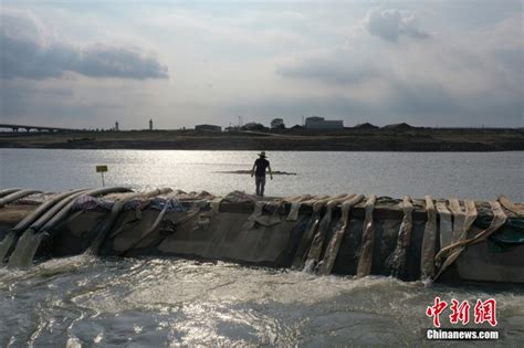 直击江西抗旱鄱阳湖畔多管齐下供水保产粮 新浪图片