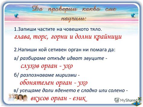 Презентация на тему Човешкото тяло има глава торс крайници долни