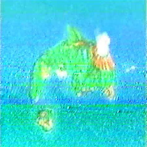 Toadofsky Albums Songs Discography Biography And Listening Guide