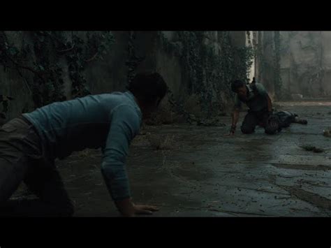 Maze Runner Thomas And Minho