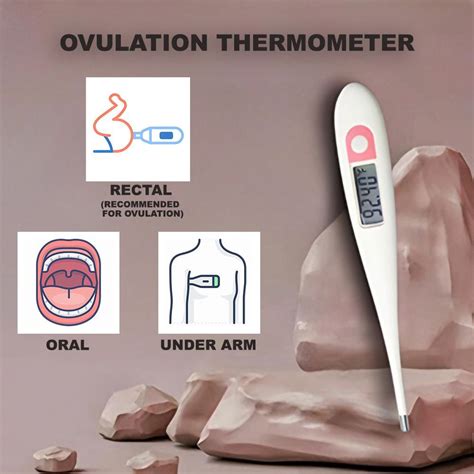 B Arm Basal Body Digital Ovulation Thermometer Pregnancy Planning And