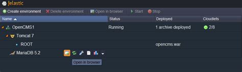 Deploying OpenCMS Into Jelastic Cloud Virtuozzo