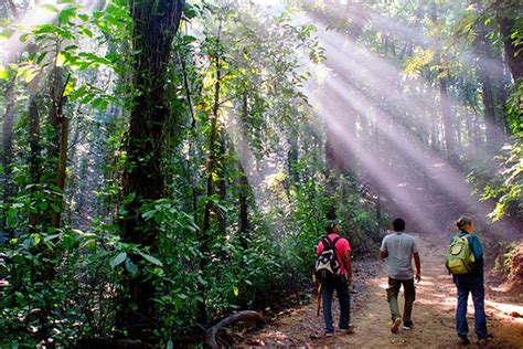 Explore Kandy 8 Essential Attractions In Sri Lanka