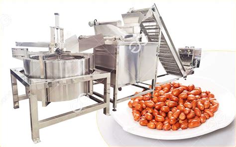 Friteuse Frire Les Arachides Automatique Bien Vendue