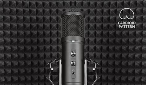Trust.com - GXT 259 Rudox Studio Microphone with reflection filter
