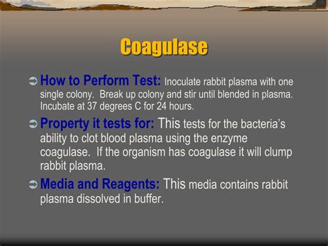 Ppt Staphylococcus Identification Tests Powerpoint Presentation Free Download Id 6997753