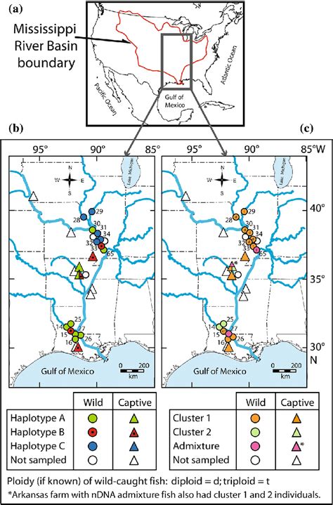 geographic distribution and genetic designation of wild caught and