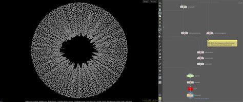 Houdini Study Organic Network Desmond Du