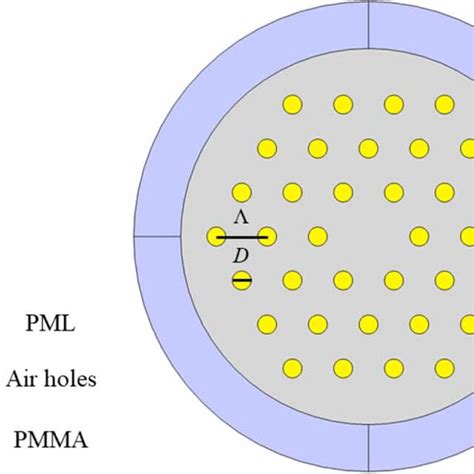 Schematic Illustration Of The Microstructured Polymer Fiber The