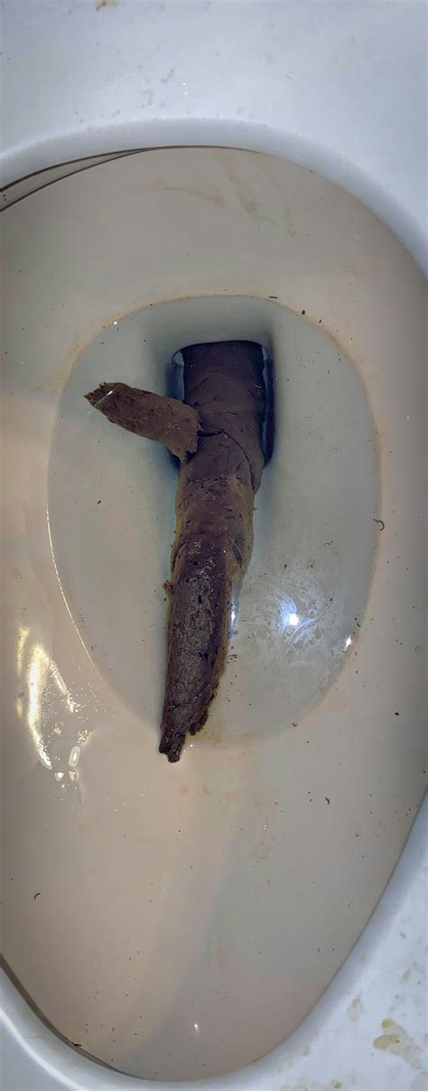 Single Thick Long Log Evening Poo 9 16 2022 Had To Go Bad And It Felt