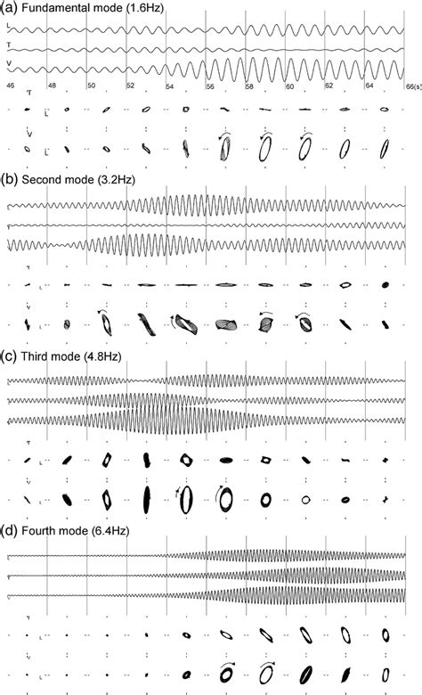 Particle Motion Diagrams For The Fundamental And Higher Modes Of An Download Scientific Diagram