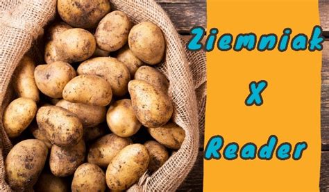 Ziemniak X Reader Samequizy