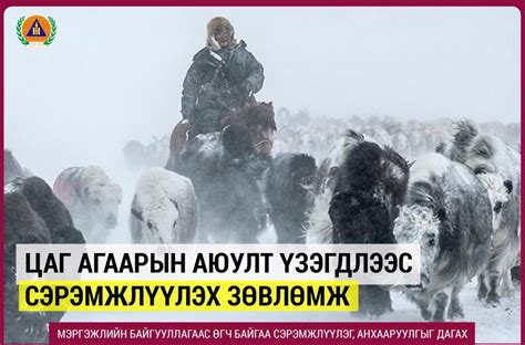 МАЛЧИД ИРГЭД ТЭЭВЭРЧДИЙН АНХААРАЛД Улаанбаатар Пост