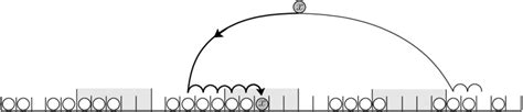 Algorithm Walkfirstn M Inserts Each Key Into The Terminal Cell That