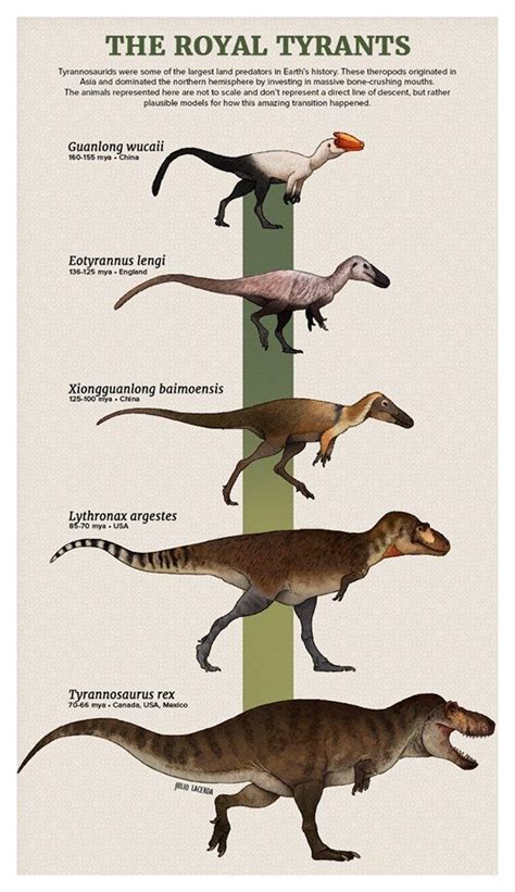 Muerte De Tyrannosaurus Por T