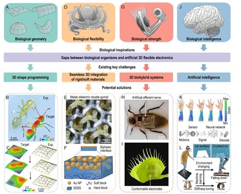 Bioinspired 3d Flexible Devices Published In National Science Review Yihui Zhang Posted On The