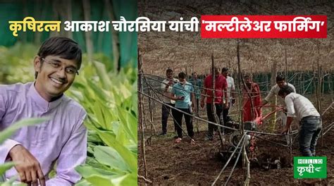Farmer Success Story कृषिरत्न आकाश चौरसिया यांची मल्टीलेअर फार्मिंग