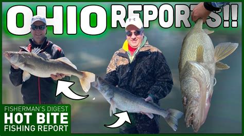 Lake Erie Walleye Fishing Reports Youtube
