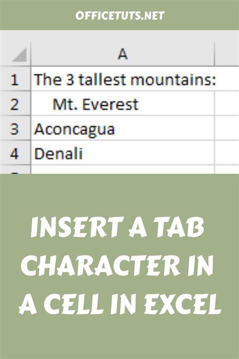 Insert A Tab Character In Excel