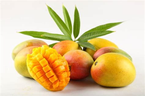 Indian National Fruit National Fruit Of India Pakistan And