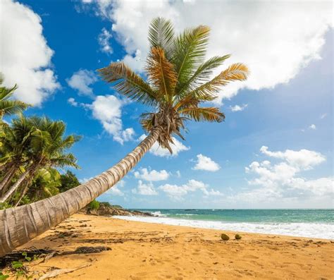 Puerto Rico Wedding In December Will The Weather Hold