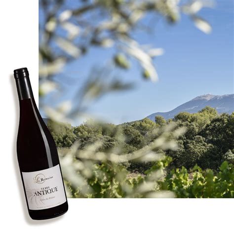 Cooperative Winery In Rhone Valley Cave La Romaine