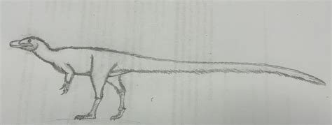 Drew A Compsognathus R Dinosaurdrawings