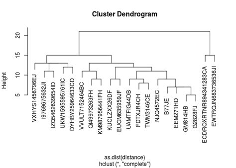 R Cluster Algorithm With Levenshtein Distance And Additional Features